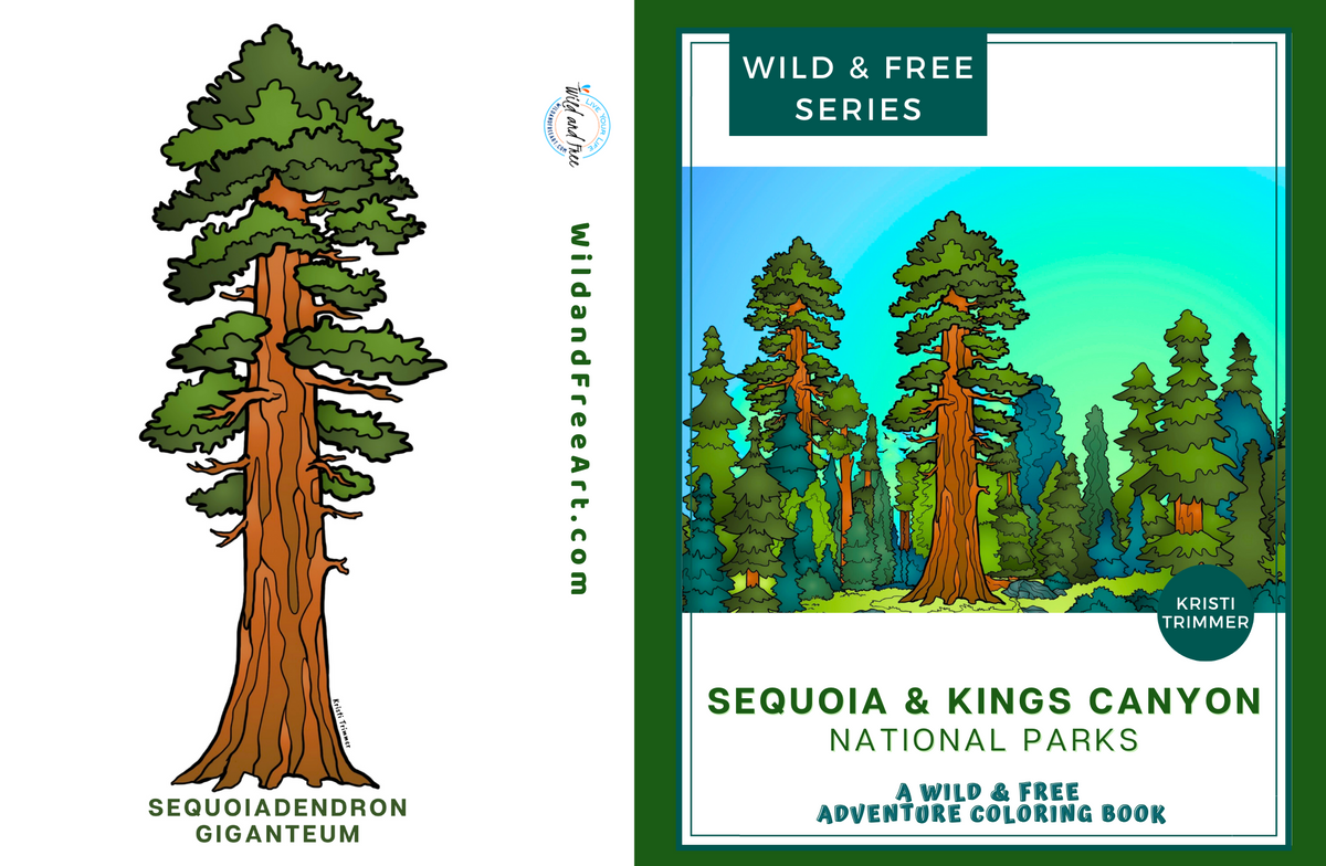 Sequoia & Kings Canyon Coloring Book – Alaska Wild & Free