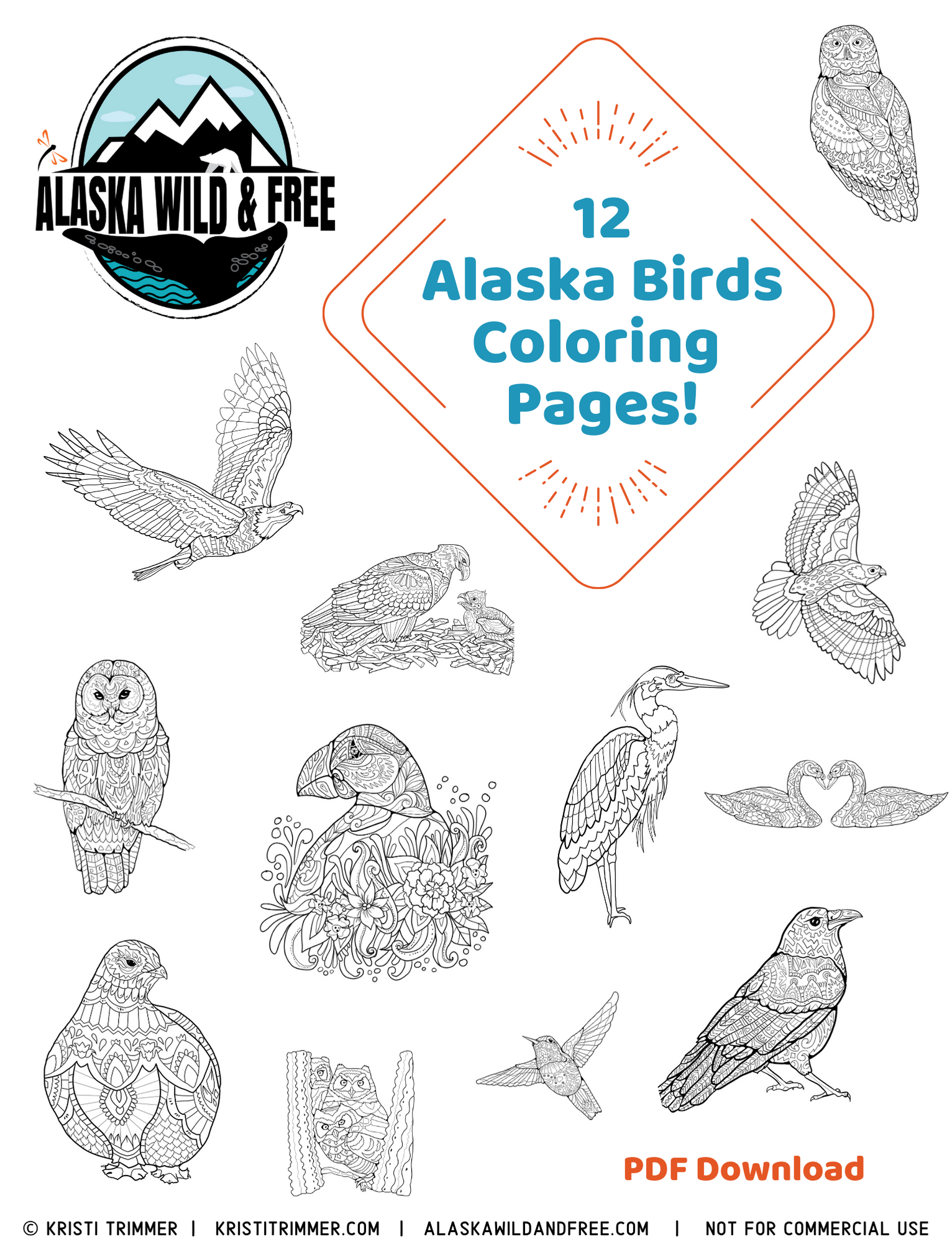 coloring pages on alaska