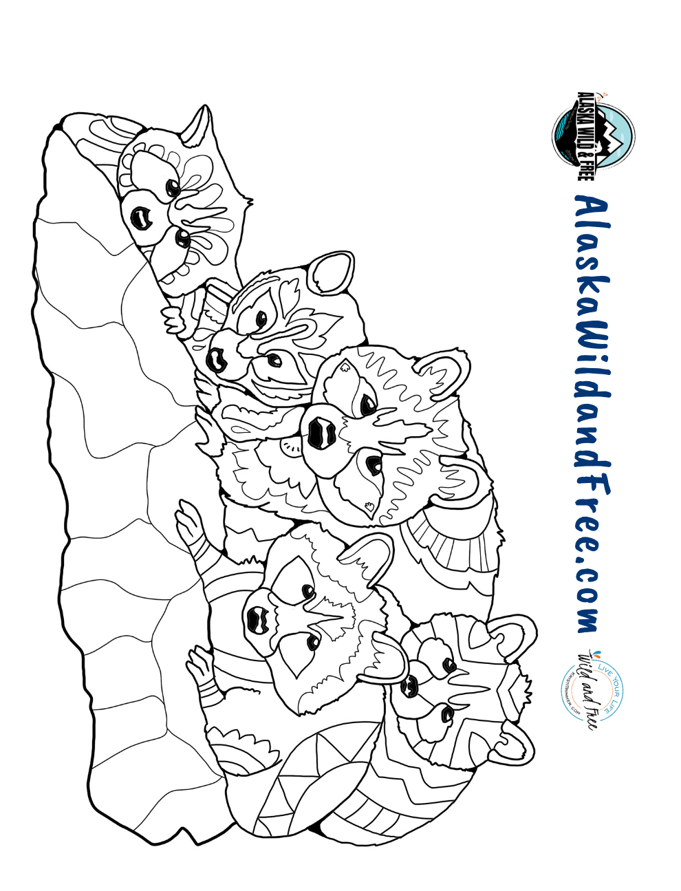 Book - Baby Animals: An Adventure & Coloring Book – Alaska Wild & Free