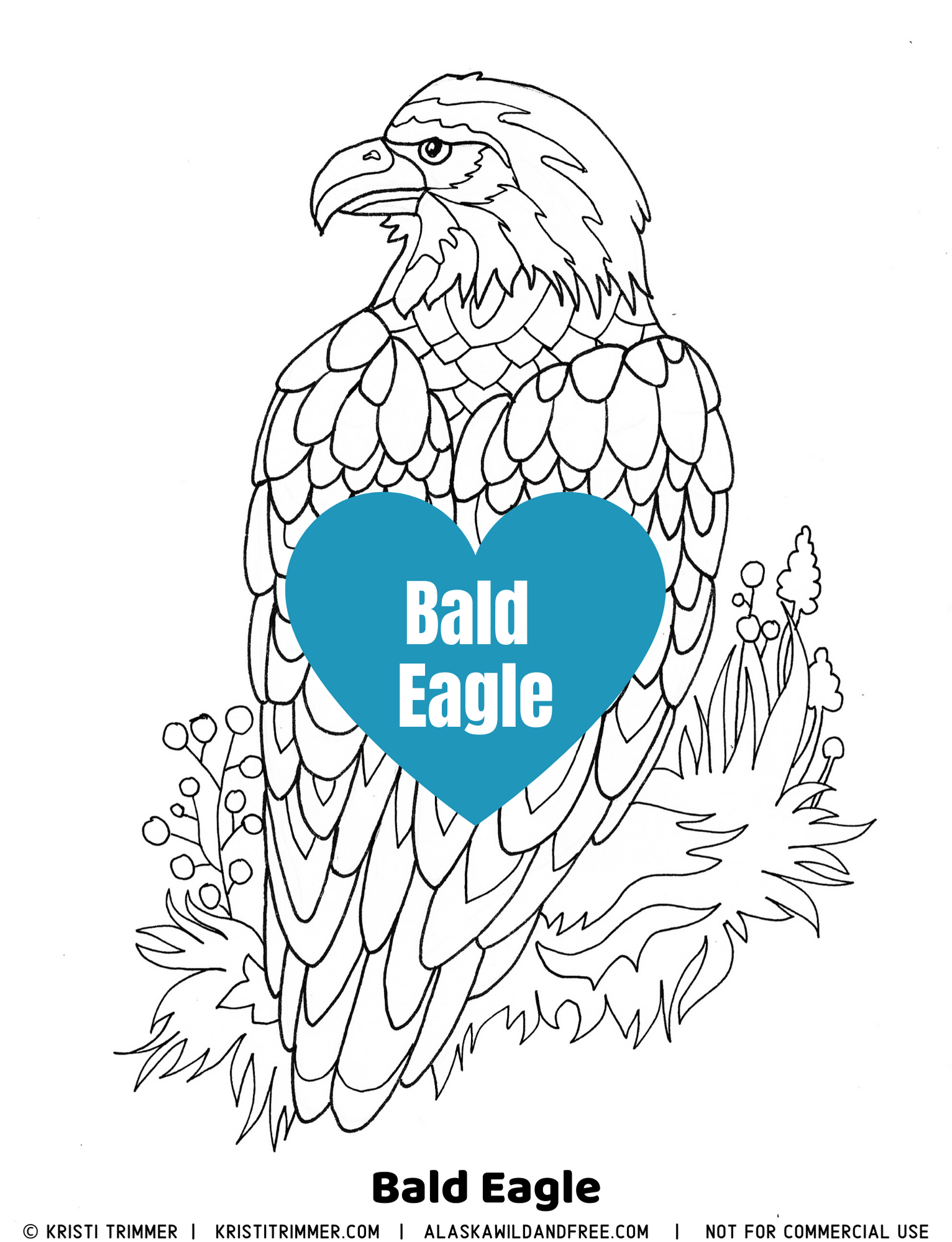 bald eagle coloring pages printable